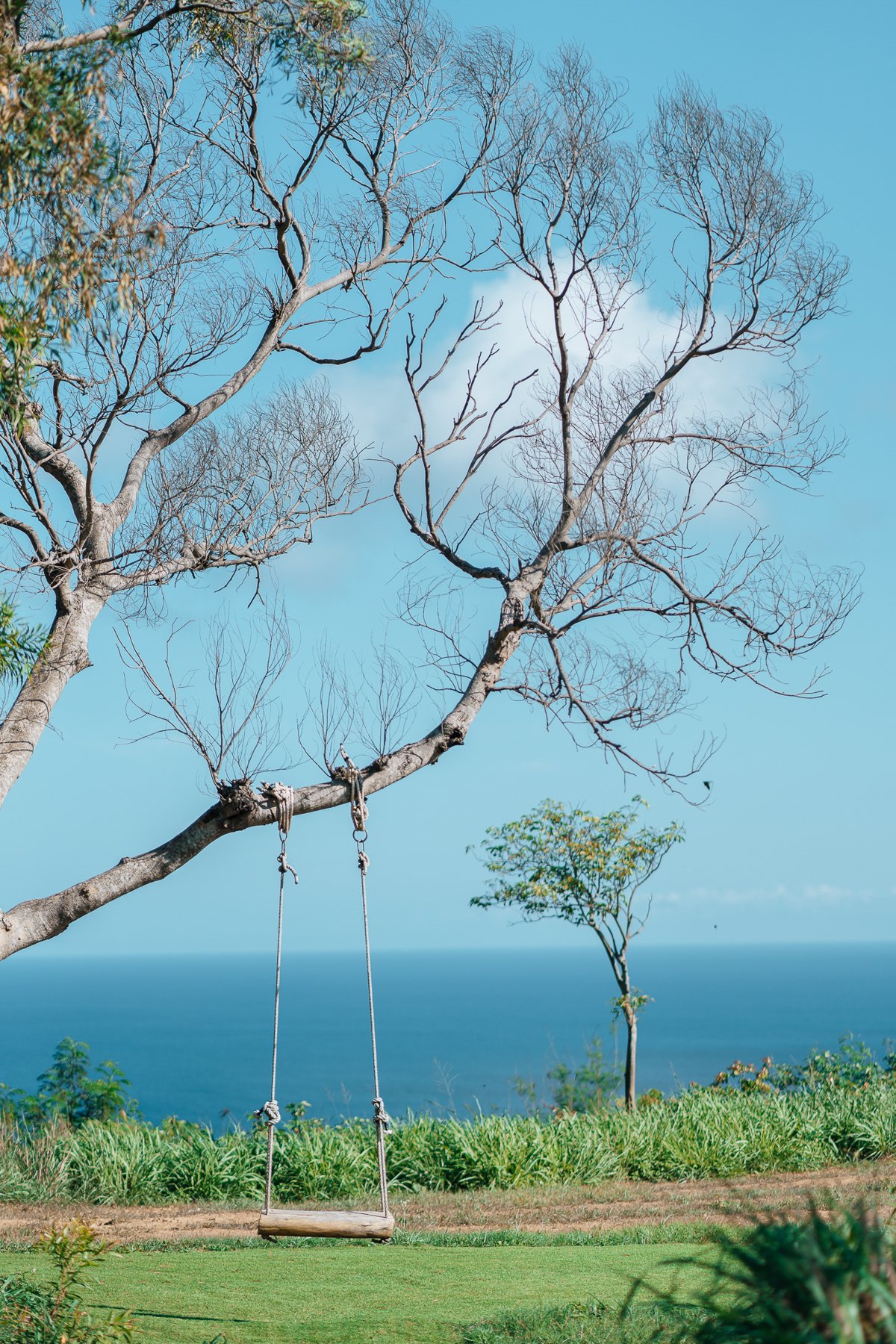 ステイフォリオ